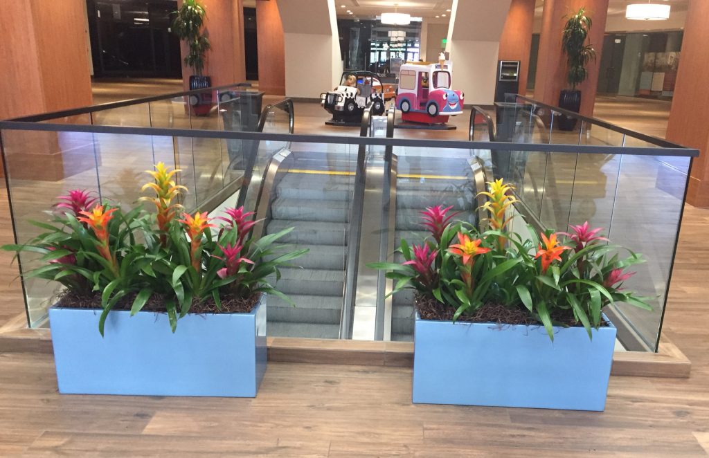 Services | Interiorscapes, Inc