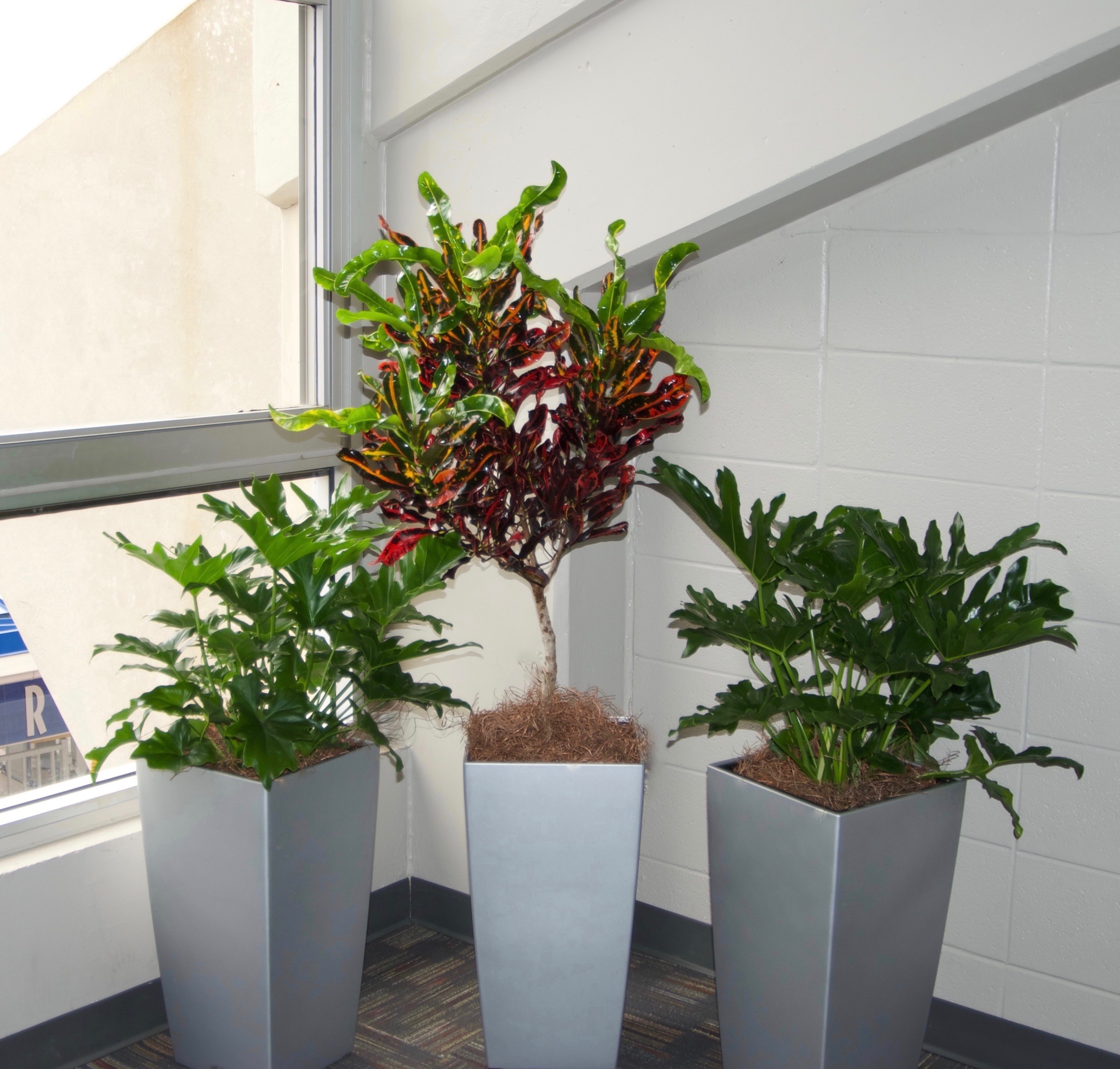 Events | Interiorscapes, Inc
